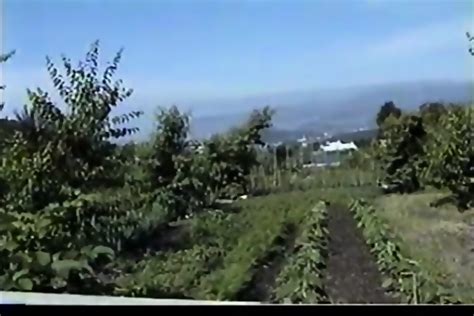 Asian Sex Retreat Part 1