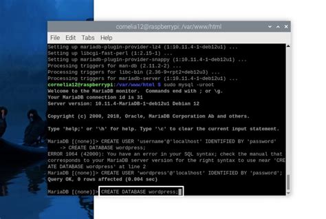 I Installed Wordpress On Raspberry Pi My Experience And Findings