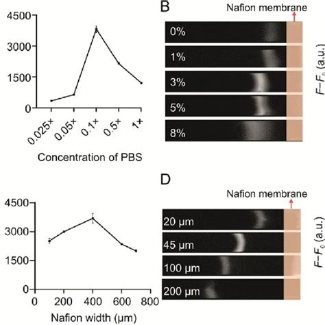 A Effect Of Phosphate Buffered Saline Pbs Concentration On