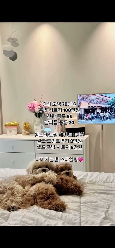 신축 아파트 홈 스타일링🏡 집꾸미기 홈스타일링 신축아파트 34평집꾸미기 신혼집인테리어 Youtube