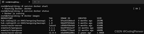 大模型本地化部署2 docker部署maxkb maxkb docker csdn博客