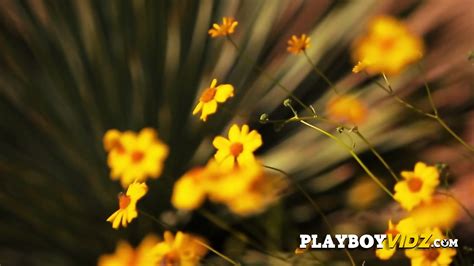 Swingers Expose Their Naked Bodies And Swap Partners Eporner