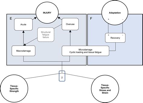 A Conceptual Model And Detailed Framework For Stress Related Strain Related And Overuse