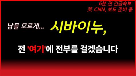 시바이누 인생을 걸어라 Youtube