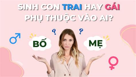 B Quy T Sinh Con G I T Nhi N C C Chu N