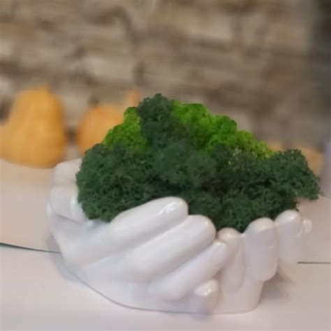 Гипсовый декор ладони девушка ваза кашпо с мохом свечи тыквы