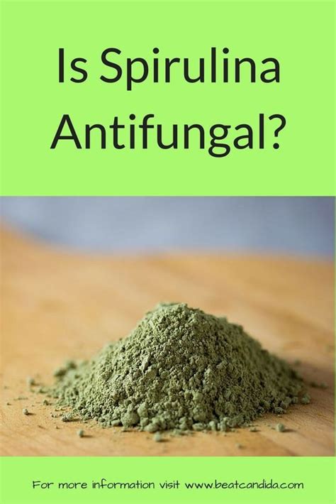 Is Spirulina Good For Candida Lets Beat Yeast Infections Together