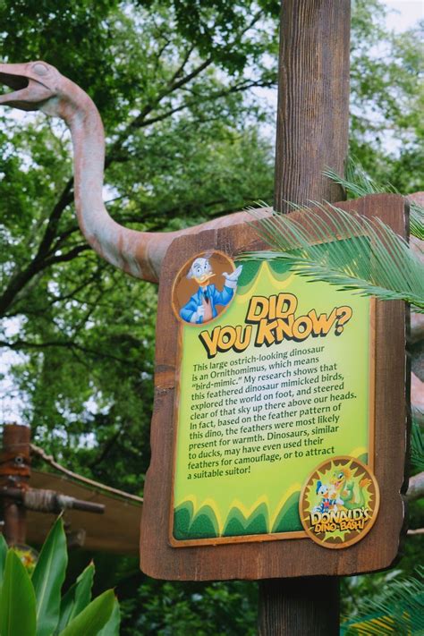 The History And Lore Of Donalds Dino Bash In Dinoland U S A