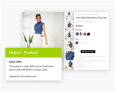 Conditional Statements Ship Plus