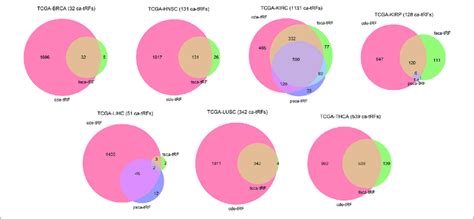 Venn Diagram Illustrating The Intersections Of Three Candidate Ca Trf Download Scientific