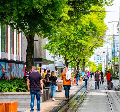 public benefit entity pbe conceptual framework update xrb