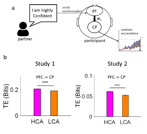 effective connectivity analysis a a heterogeneous connectivity