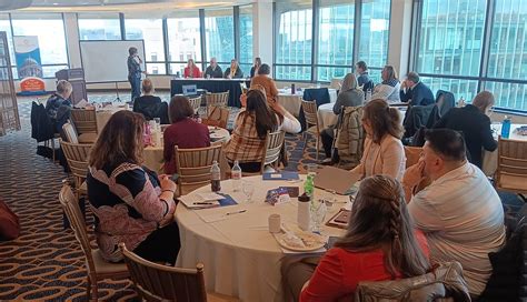 dspn consultant series dspn inc