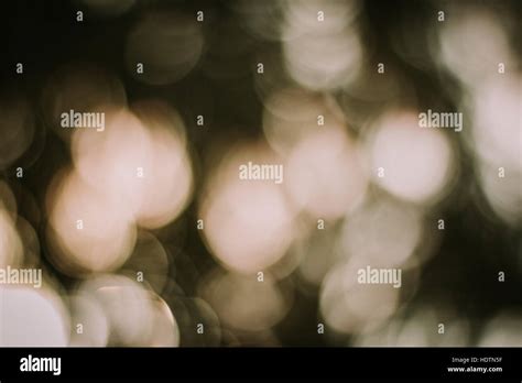 Blur Background Of Trees For Use As Wallpaper Stock Photo Alamy