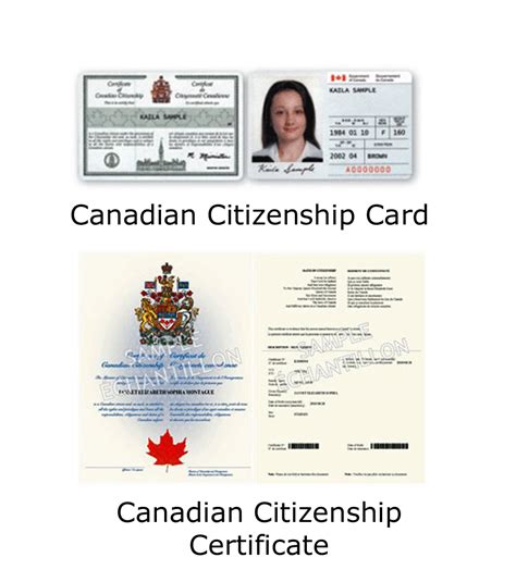 Canadian Citizenship National Id Number Free Math Worksheet Printable
