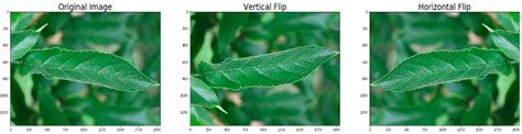 Disease Detection In Apple Leaves Using Deep Convolutional Neural Network