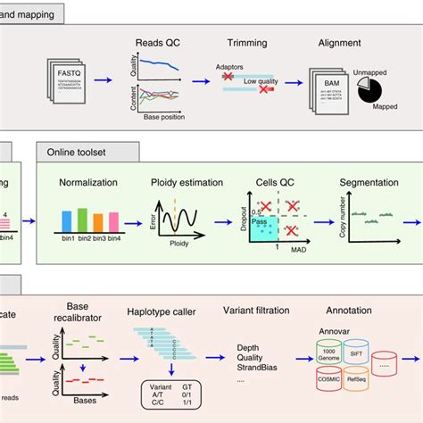 Whole Genome Cnv Distribution Of Different Wga Method Amplified Single
