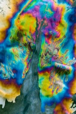 Tree Of Life Oil On Water