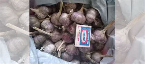 Чеснок купить в Новосибирске Товары для дома и дачи Авито