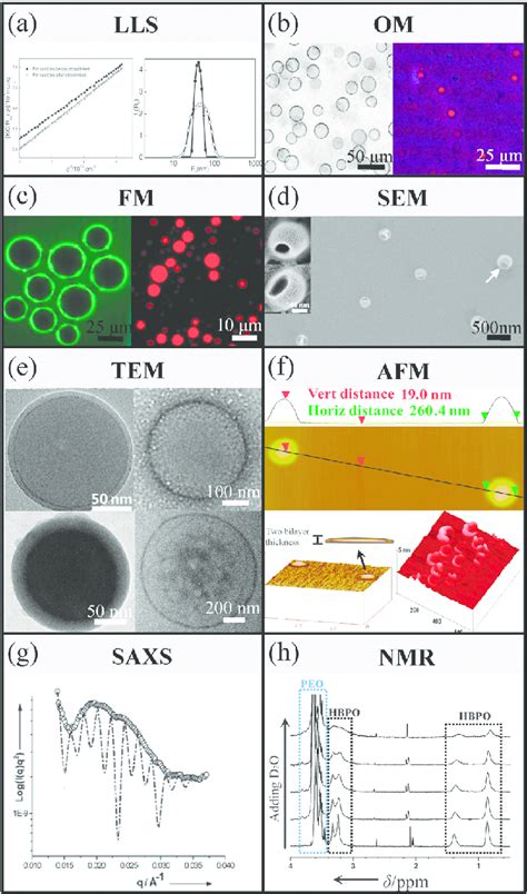 The Characterization Of Bps By Lls A Om B Fm C Sem D Tem