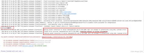 代码连接zookeeper出错error Unable To Resolve Address Status2181 Csdn博客