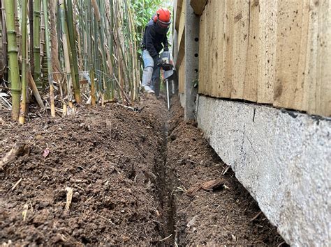 Guide To Installing Bamboo Root Barriers Root Barrier Store