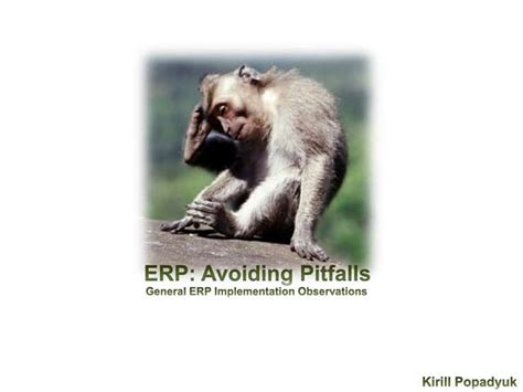Erp Implementation Avoiding Common Pitfalls Pptx Business Business And Finance