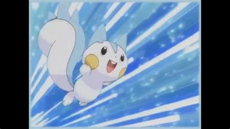 Special Amv Pachirisu Vs Gabite Youtube