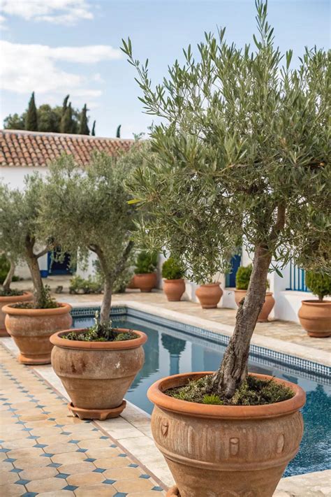16 Creative Pool Planter Ideas For Your Backyard