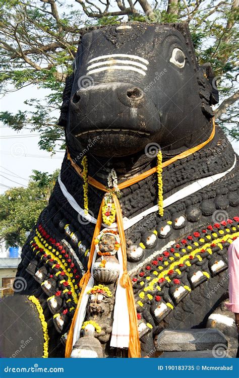 Face Of Nandi At Chamundi Hills Stock Image Image Of Frontal People