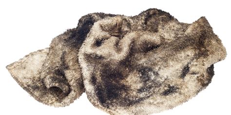 Dry Sex The Horrific Practice In Africa That Has Gone Previously Undiscovered Cosmopolitan