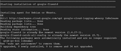 Python 3x Stackdriver Logging Agent Not Showing Logs Read From A Custom Log File In