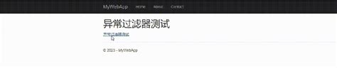 异常过滤器—mvc中异常过滤器使用 董川民