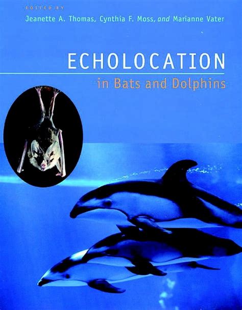 Echolocation Of Bats And Dolphins Nhbs Academic And Professional Books