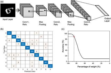 Convolutional Neural Network Cnn Architecture The Effect Of Weights