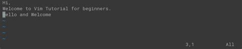 Vim A Quick Beginners Guide GoGoSoon