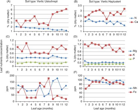 4 Seasonal Variation In Leaf N P K Ca Mg Fe And Mn Contents In