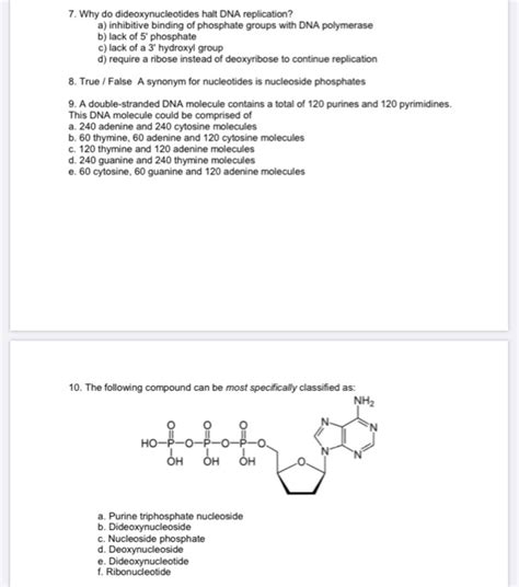 Solved 7 Why Do Dideoxynucleotides Halt Dna Replication A