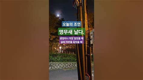 오늘의 조언 앵무새 날다 생업이나 직장을 잃었을 때 삶의 터전을 잃었을 때 Youtube