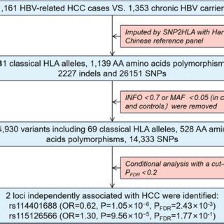 Schematic Of The Study Design And Workflow Download Scientific Diagram