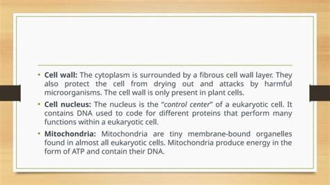 Eukaryotes Powerpoint Presentation Slide Ppt