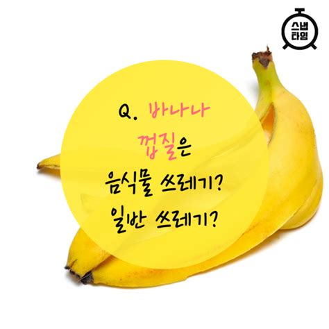 카드뉴스 바나나 껍질은 음식물 쓰레기 일반 쓰레기