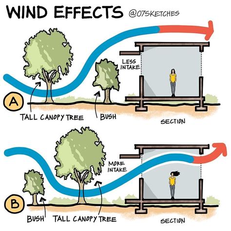 Wind Effects R Coolguides