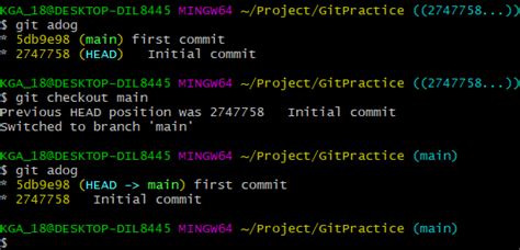 Git Bash