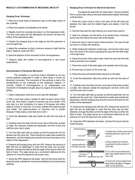 module 6 to 9 lab download free pdf physical sciences microbiology