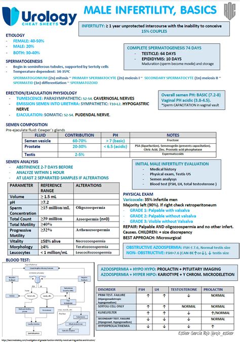 Male Infertility Basics Urology Cheatsheets