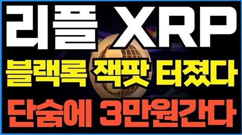 리플 Xrp 미쳤다블랙록 단숨에 3만원 까지 갑니다 필수시청 리플 리플전망 Xrp Youtube
