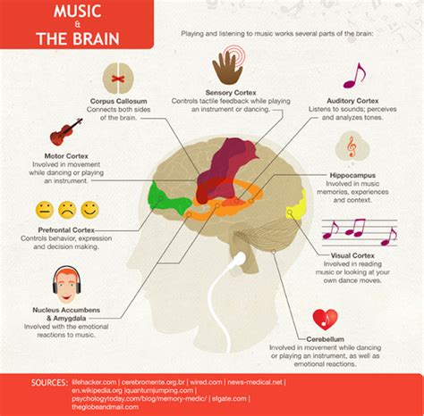 Music And The Brain How Does Music Affect You