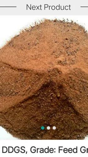 Powder Ddgs Packaging Type Pp Bag Packaging Size 50 Kg At ₹ 24 Kg In Pahasu