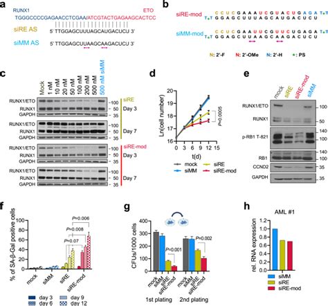 Nanoparticle Mediated Targeting Of The Fusion Gene Runx1 Eto In T 8 21 Positive Acute Myeloid